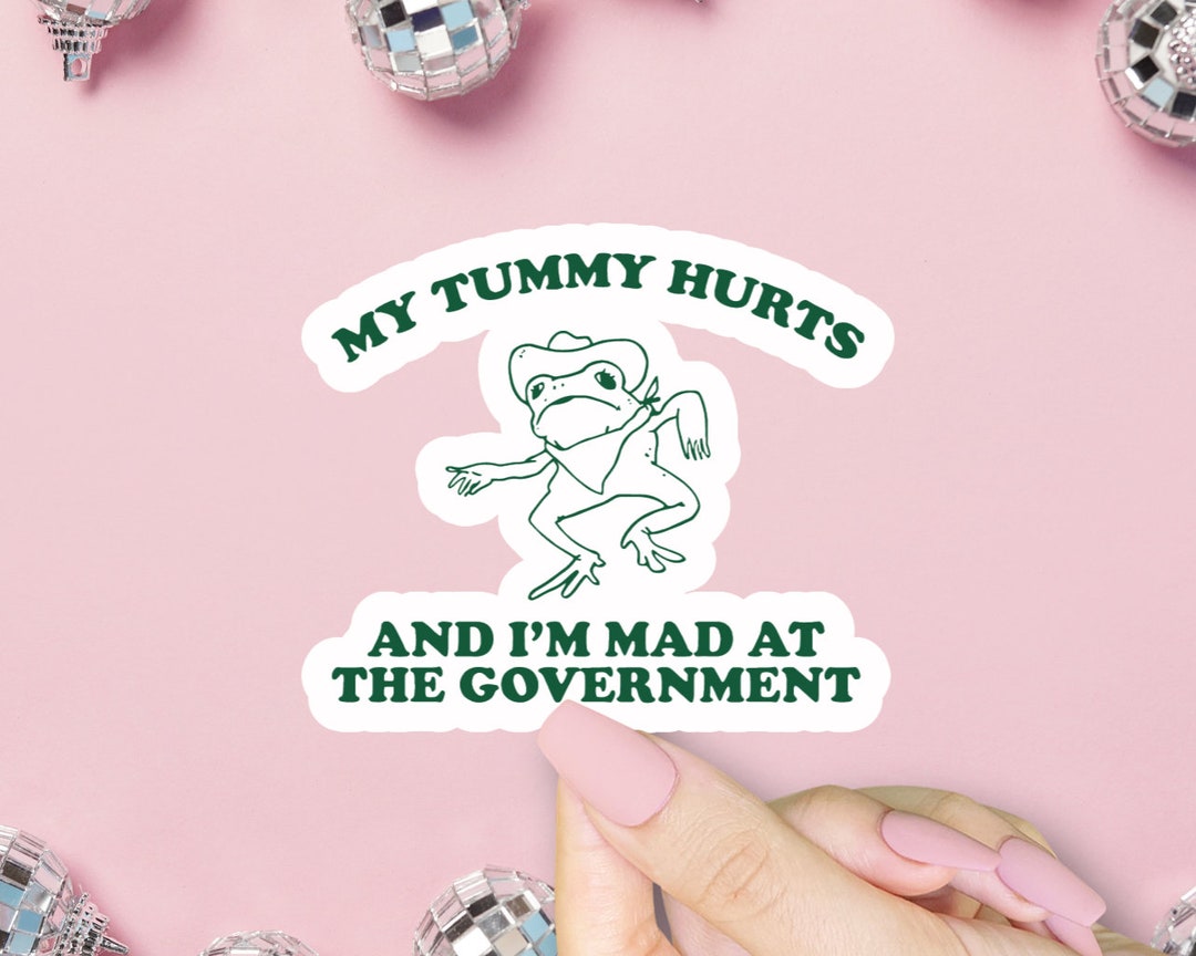 My Tummy Hurts and I'm Mad at the Government Sticker, Funny Meme, Cute ...