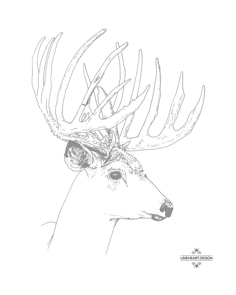 Botanical Tracing Sheets for Pen and Ink Line Art Practice and ...