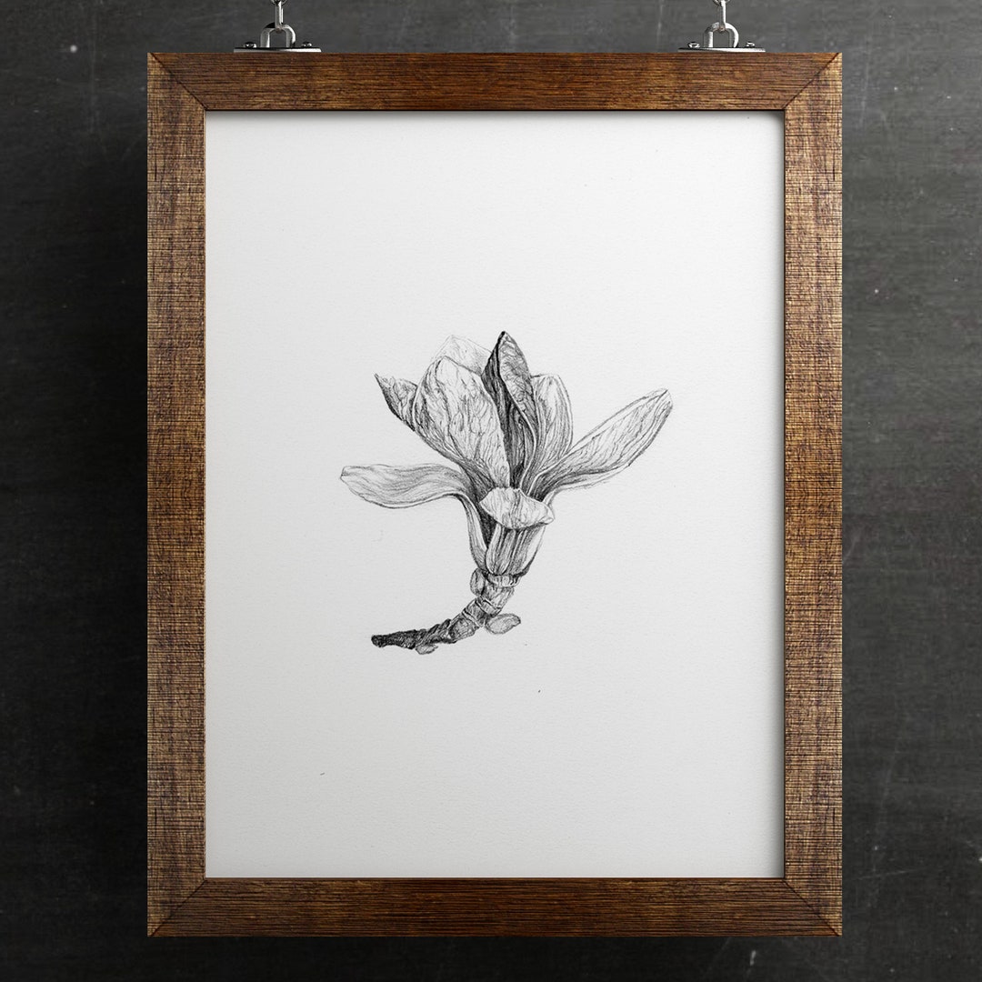 Original Magnolia Blossom in Graphite - Etsy
