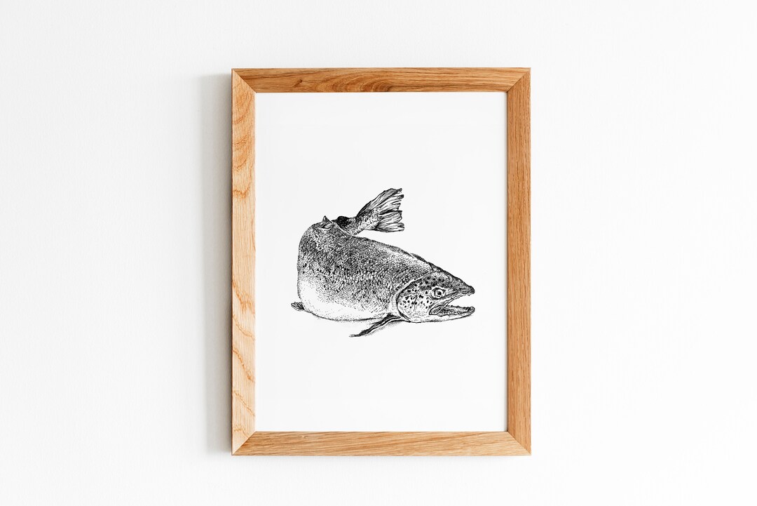 Wild Salmon - Ink Drawing *limited Edition Giclée Print* Wall Art - Etsy