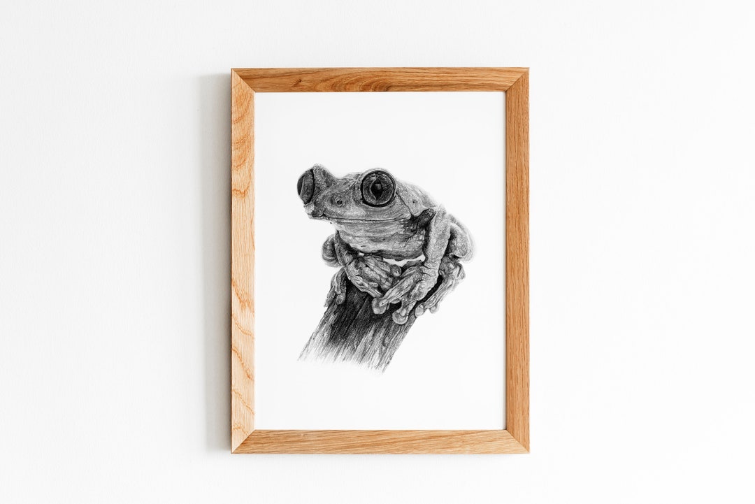 Tree Frog Graphite Drawing *limited Edition Giclée Print* Wall Art - Etsy