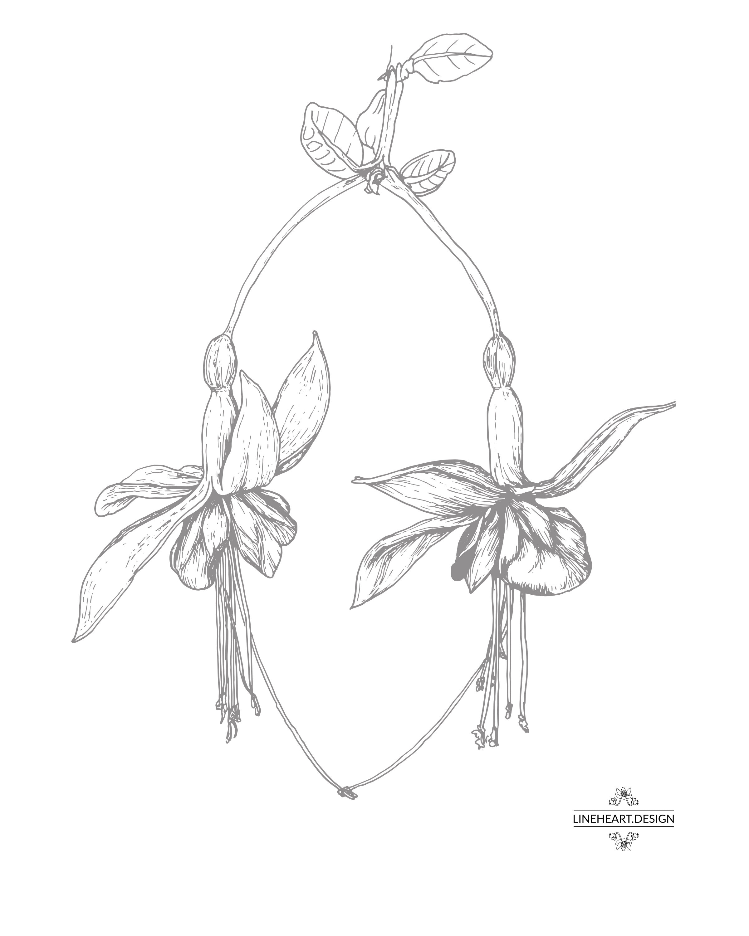 Botanical Tracing Sheets for Pen and Ink Line Art Practice and ...