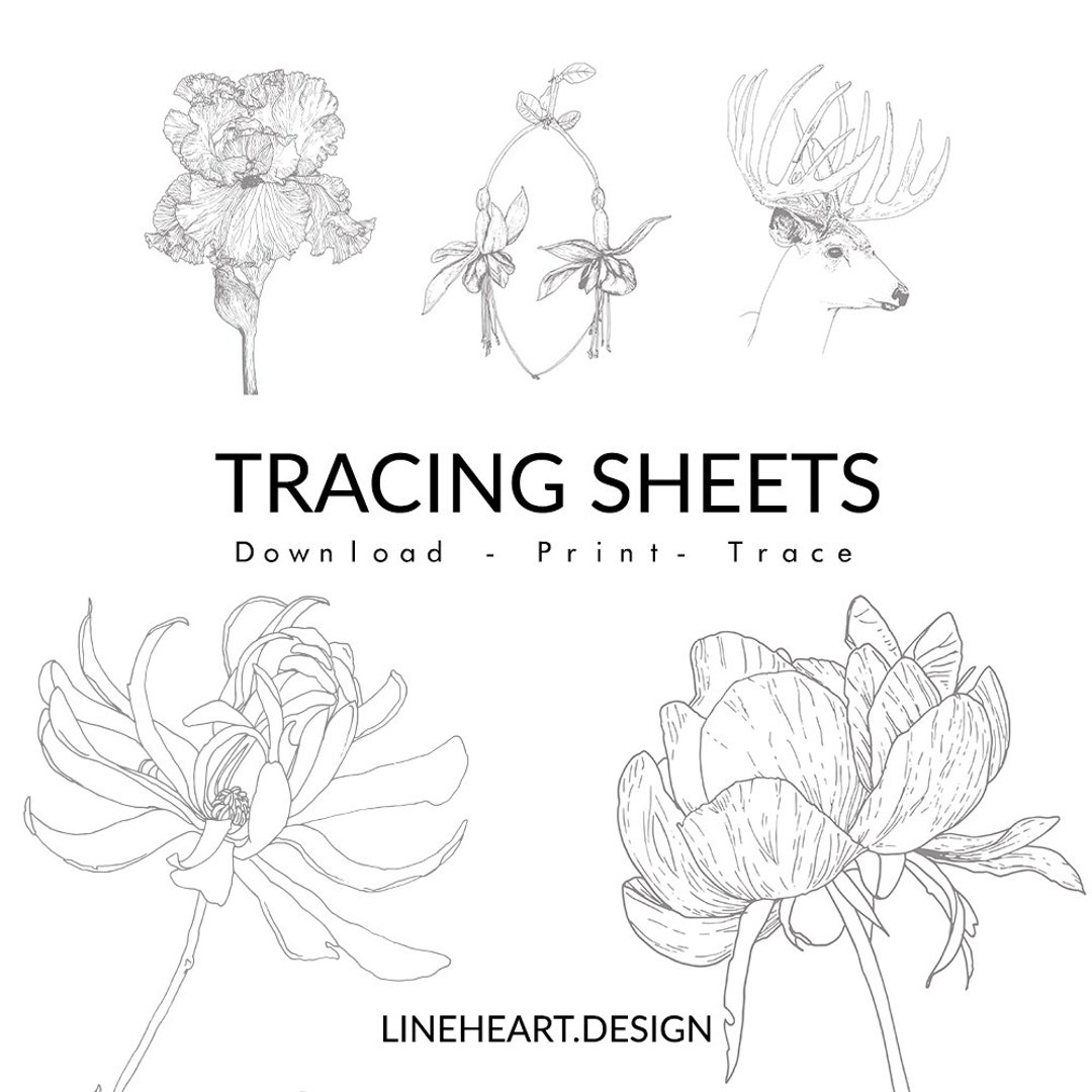 Botanical Tracing Sheets for Pen and Ink Line Art Practice and ...