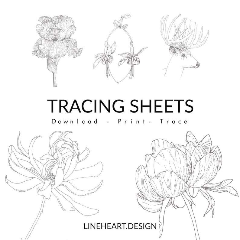 Botanical Tracing Sheets for Pen and Ink Line Art Practice and ...