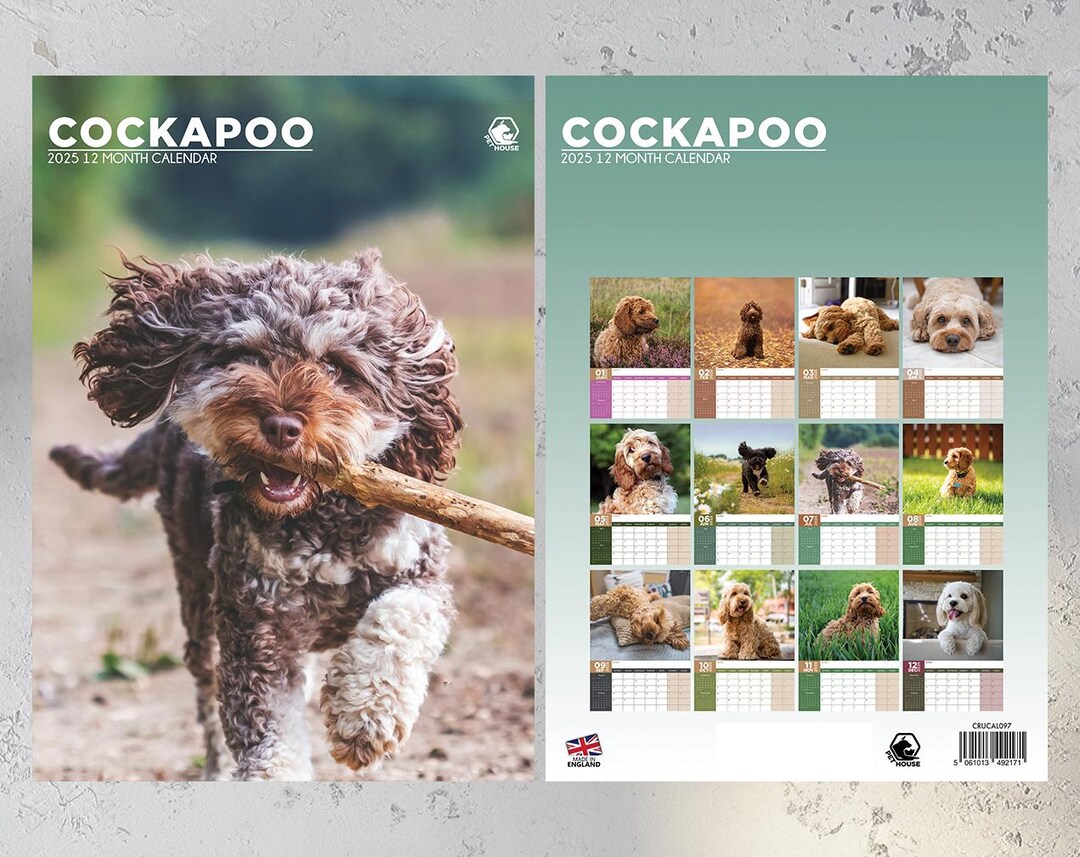 2025 Cockapoo Calendar A3 Size - Etsy UK