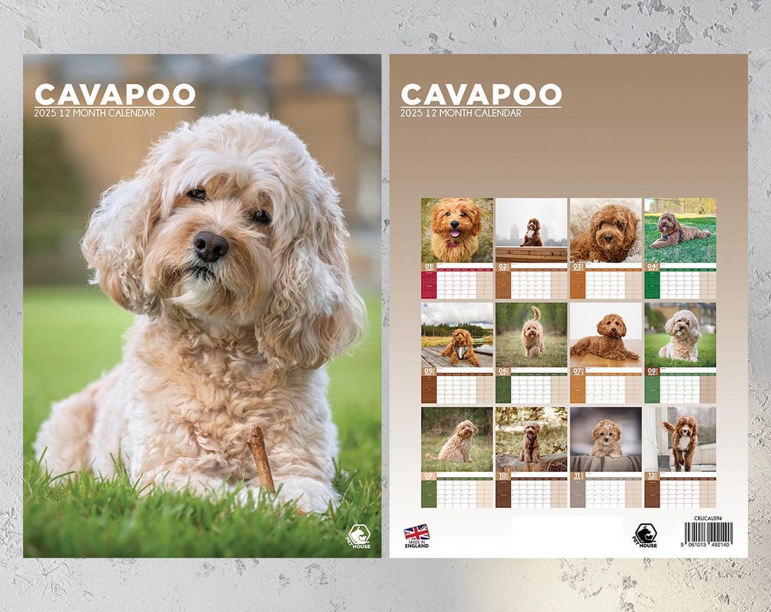 2025 Cavapoo Calendar A3 Size - Etsy