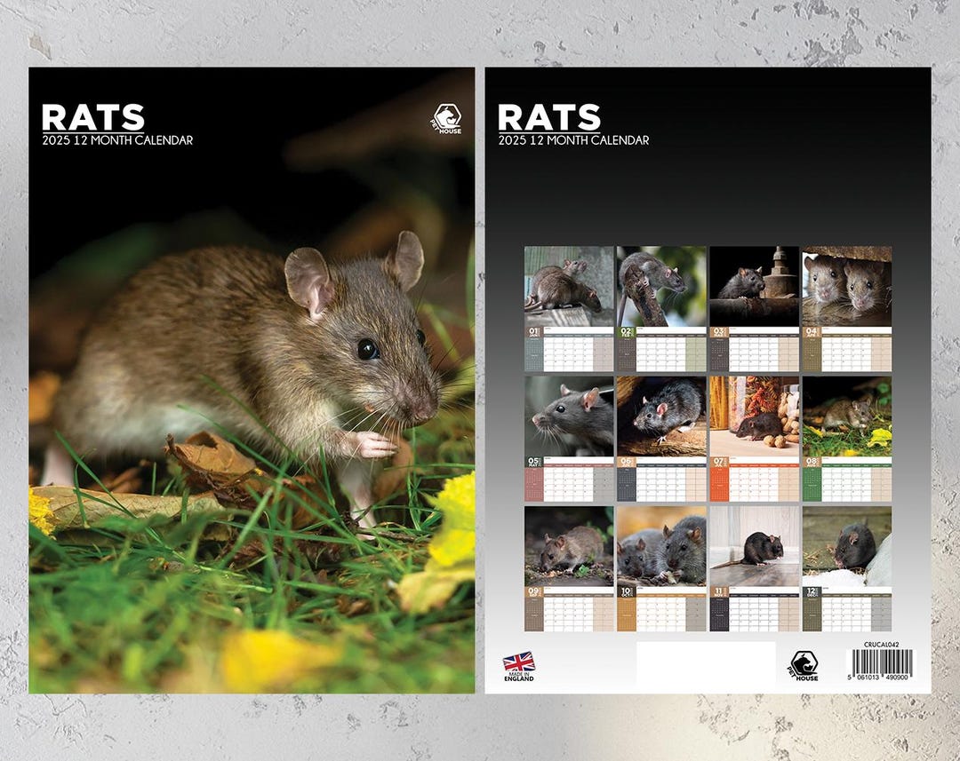2025 Rats Calendar A3 Size - Etsy