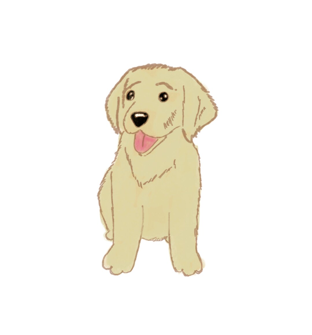 Hand-drawn Yellow Lab Clip Art | Cute Labrador Retriever PNG | Dog ...