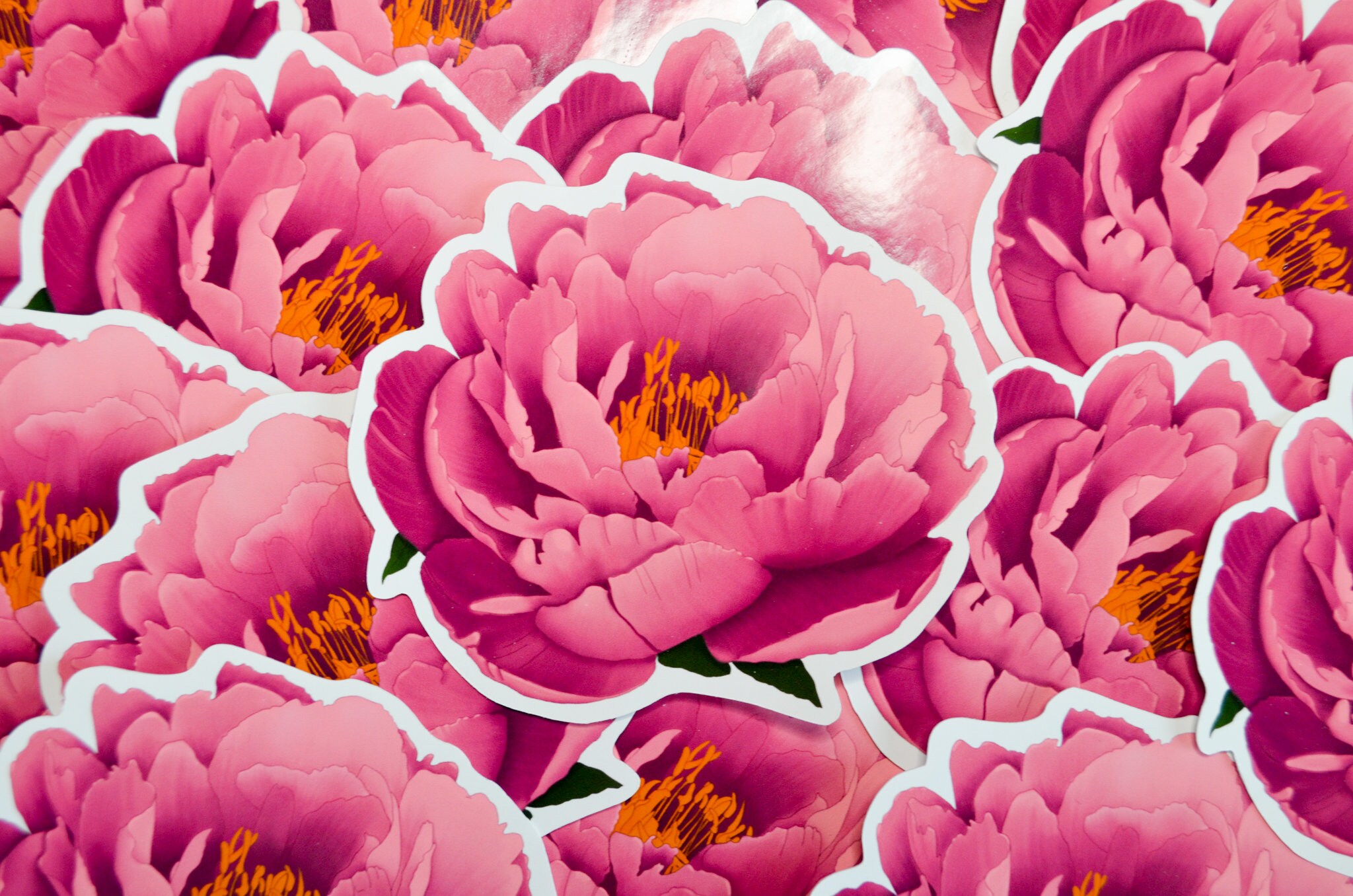Pink Peony Flower Sticker, Beautiful Floral Sticker - Etsy UK