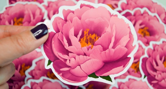 Pink Peony Flower Sticker beautiful floral Sticker | Etsy