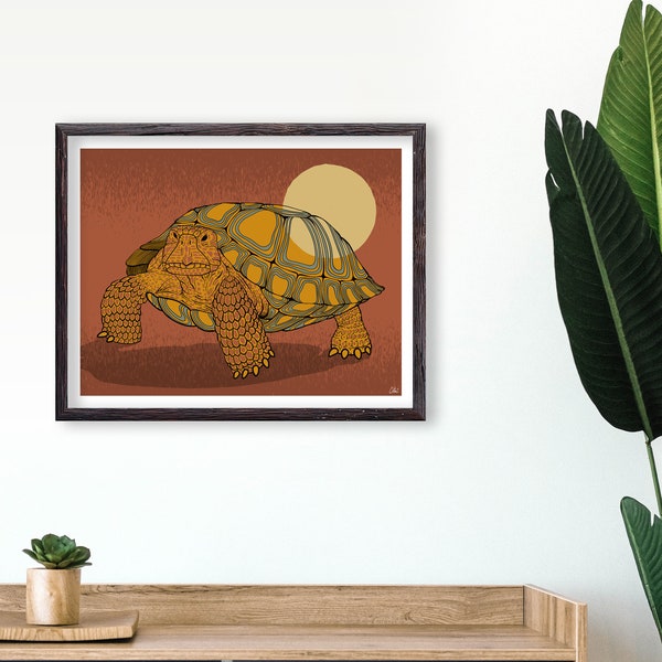 Tortoise Art - Etsy