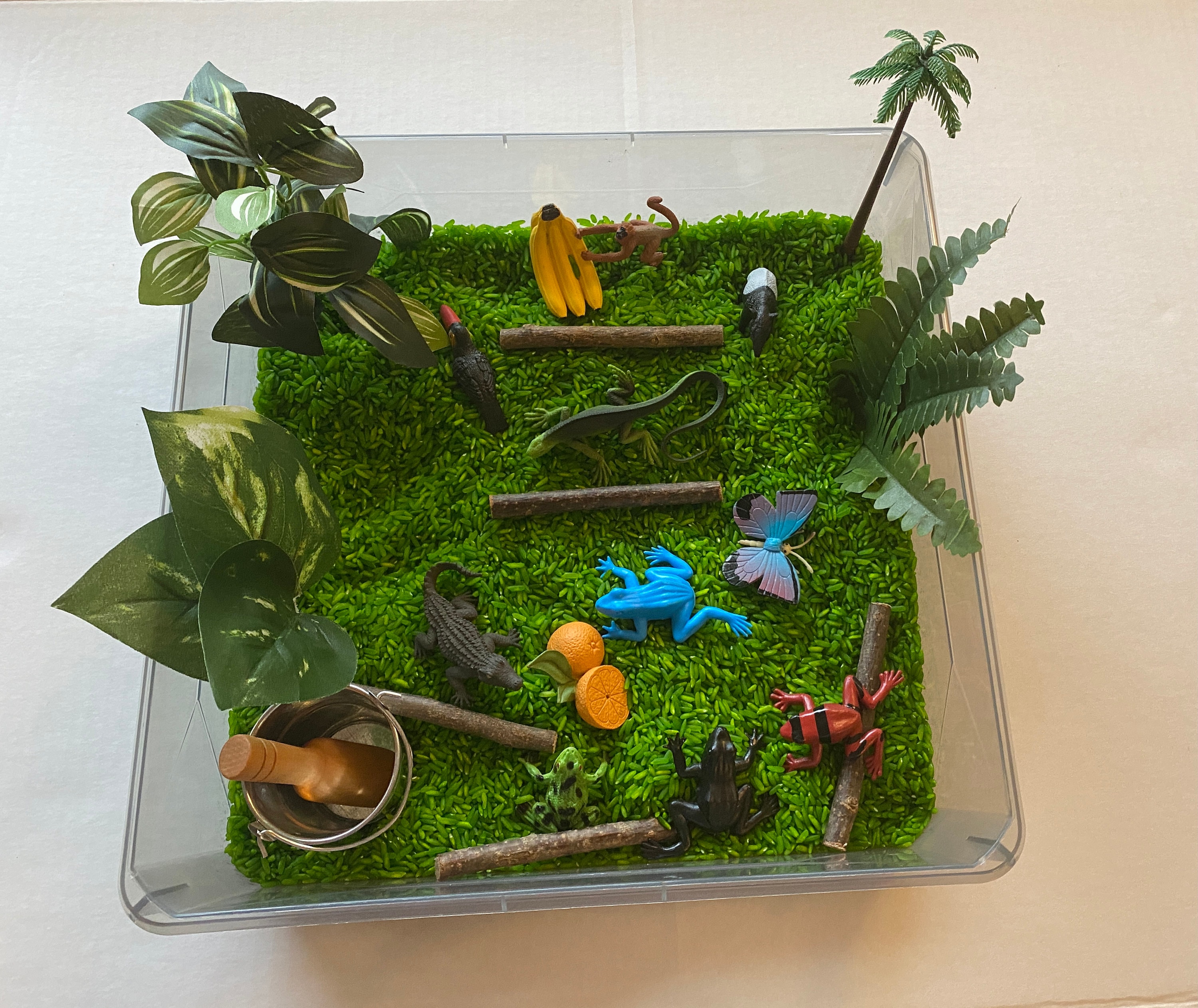 Rainforest Sensory box sensory bin Rainforest sensory kit | Etsy