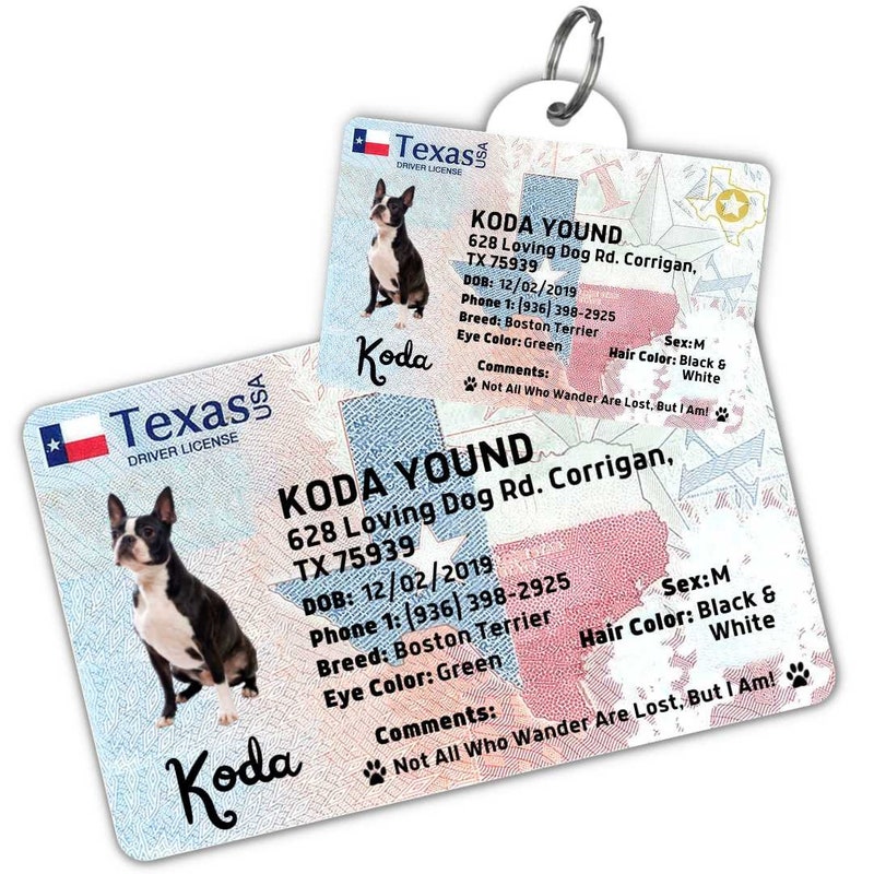 Dog Driver License - Etsy