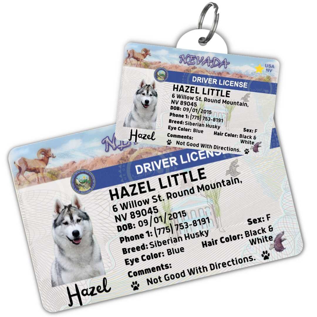 Custom Dog Tag Personalized Pet ID Tag Cat Collar Tag Engraved Dog Name ...