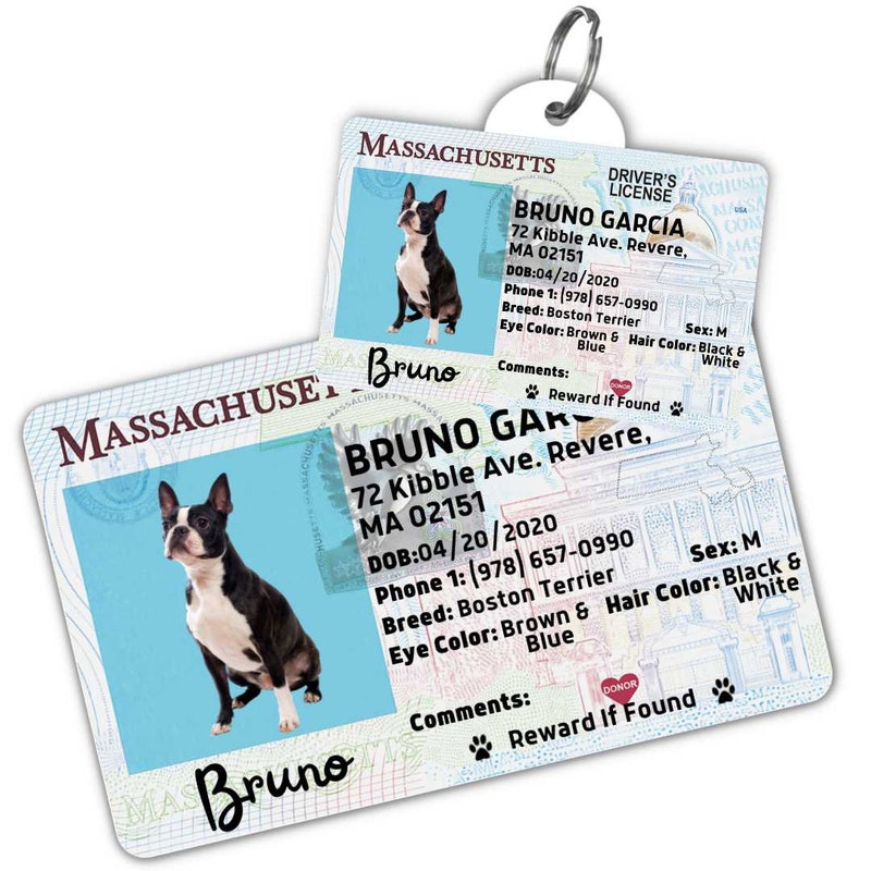 Dog Driver License - Etsy