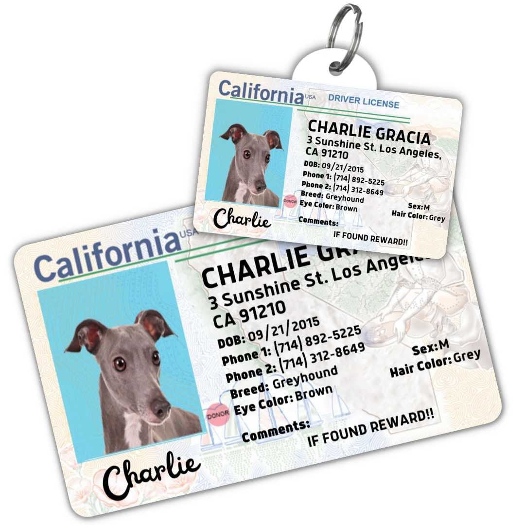 Custom Dog Tag Personalized Pet ID Tag Cat Collar Tag Engraved Dog Name ...