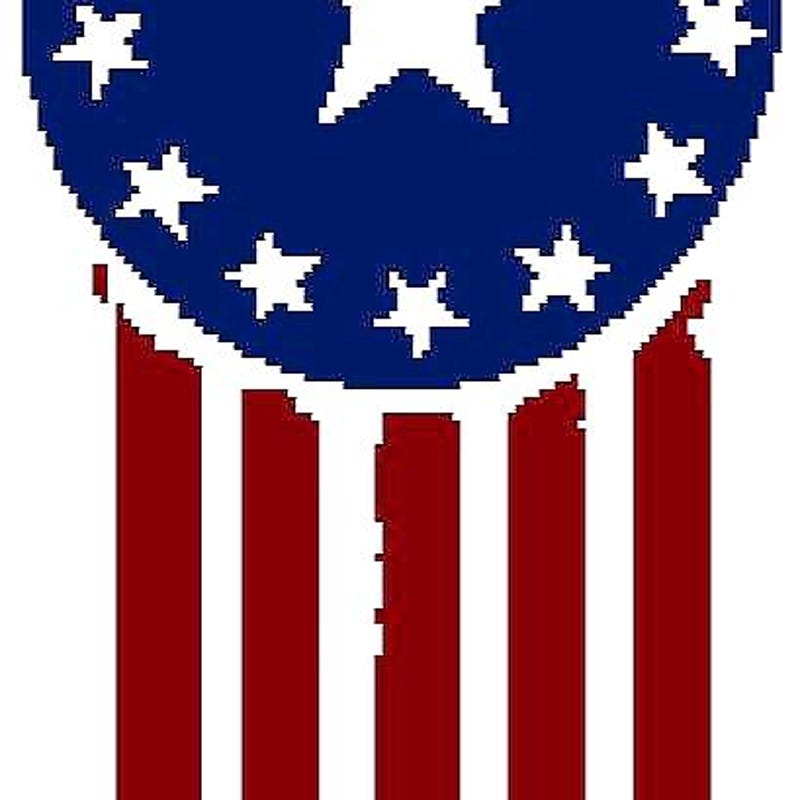 Fallout Enclave Flag - Etsy