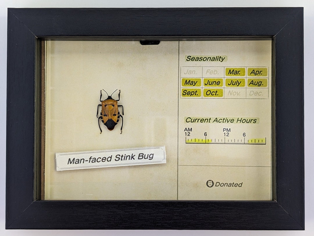 Man-faced Stink Bug - Animal Crossing Encyclopedia Frame - REAL - 5"x7 ...