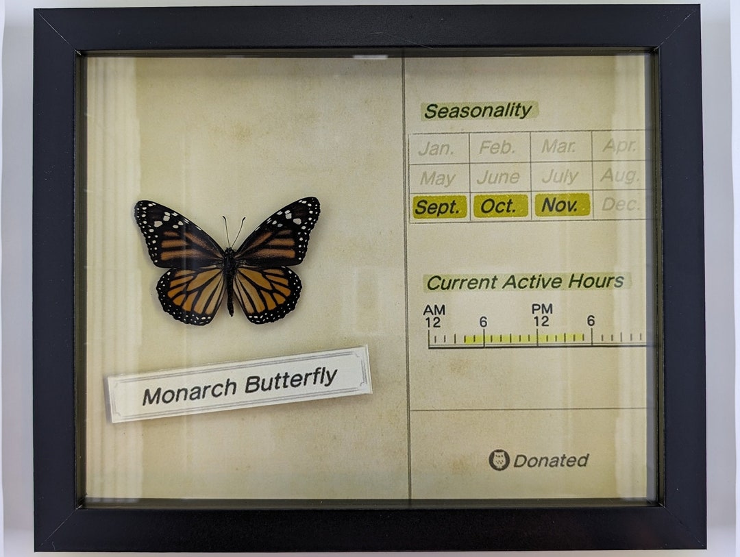 Monarch Butterfly - Animal Crossing Encyclopedia Frame - REAL - 8"x10 ...