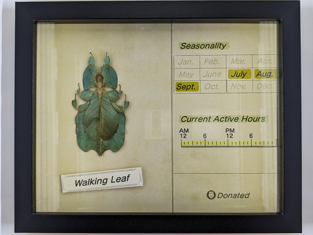 Walking Leaf- Animal Crossing Encyclopedia Frame - REAL - 8"x10" - Etsy
