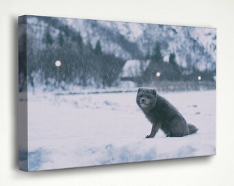 Arctic Fox Poster - Etsy