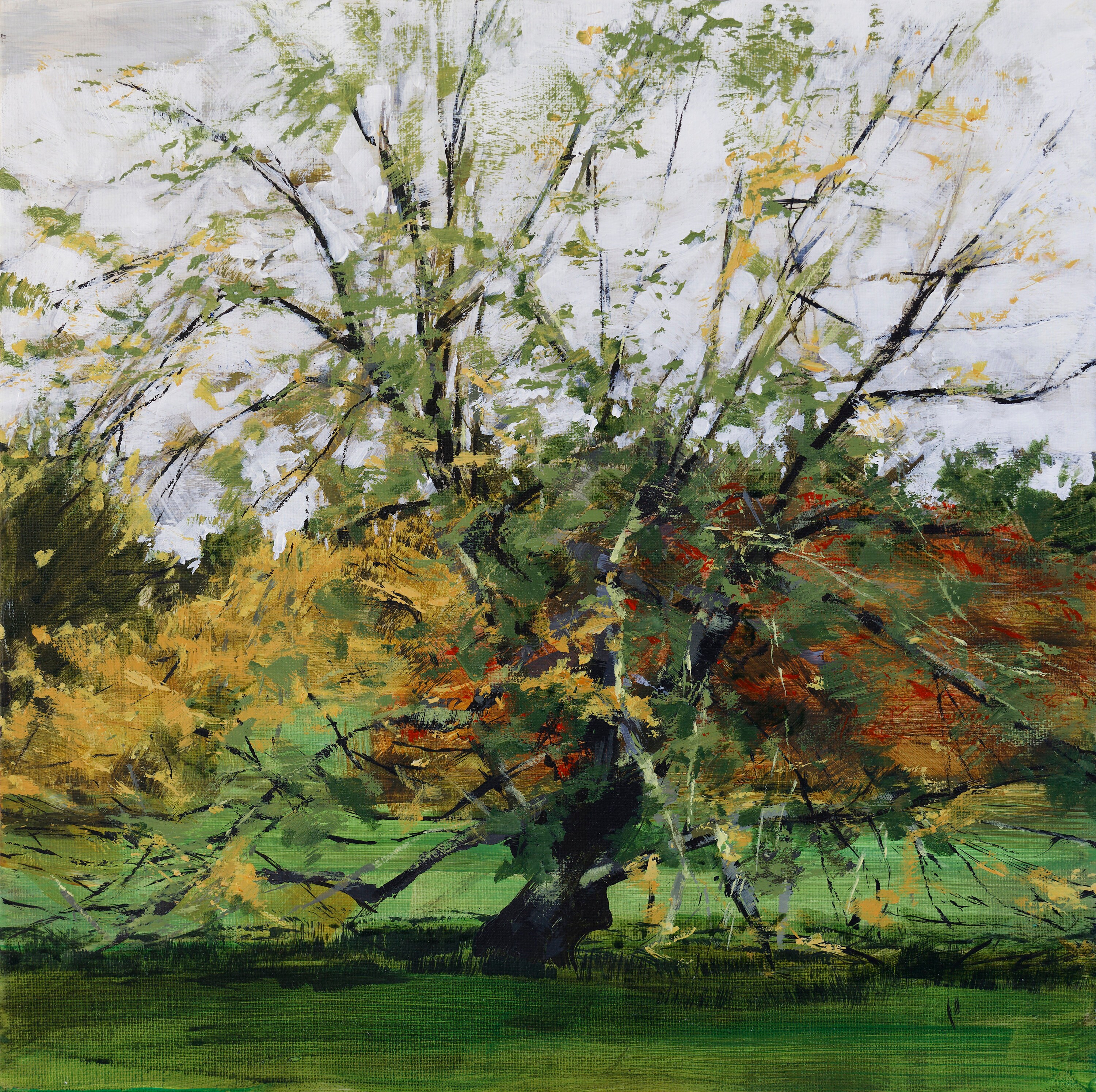 Tree Painting / Print / Cuesta Annex Walnut 10 X 10 - Etsy