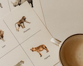 Montessori Animal Match - Etsy