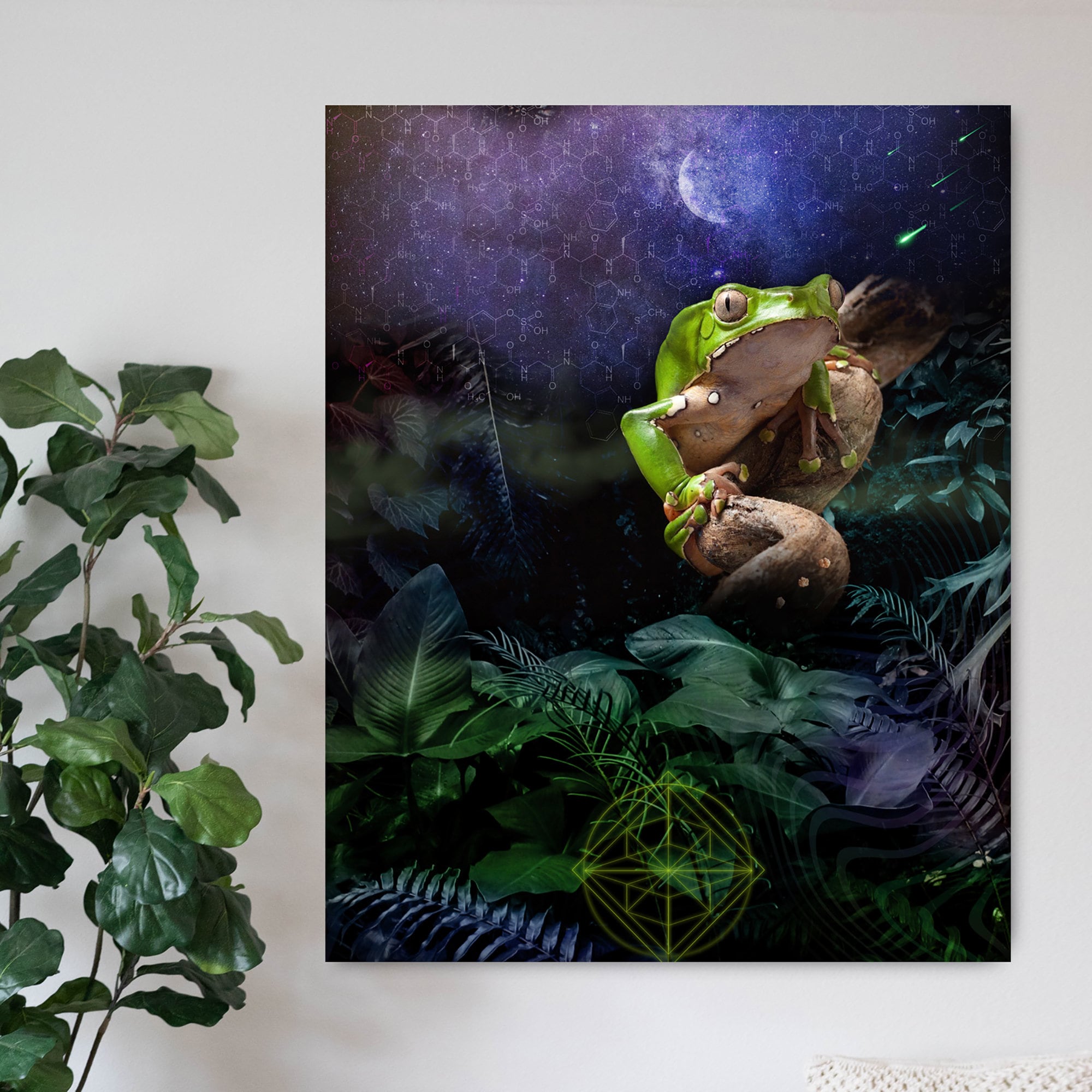 Viva Kambo Art Kambo Medicine Art Kambo Warrior Art Frog | Etsy