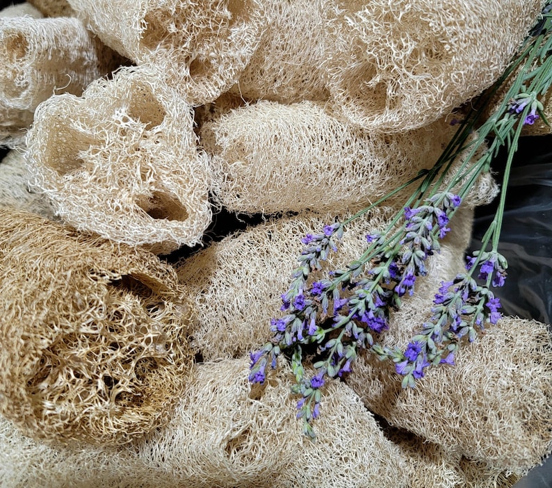 2-pack, Unbleached, Natural Luffa (loofah), Farm Grown, Eco Friendly - Etsy