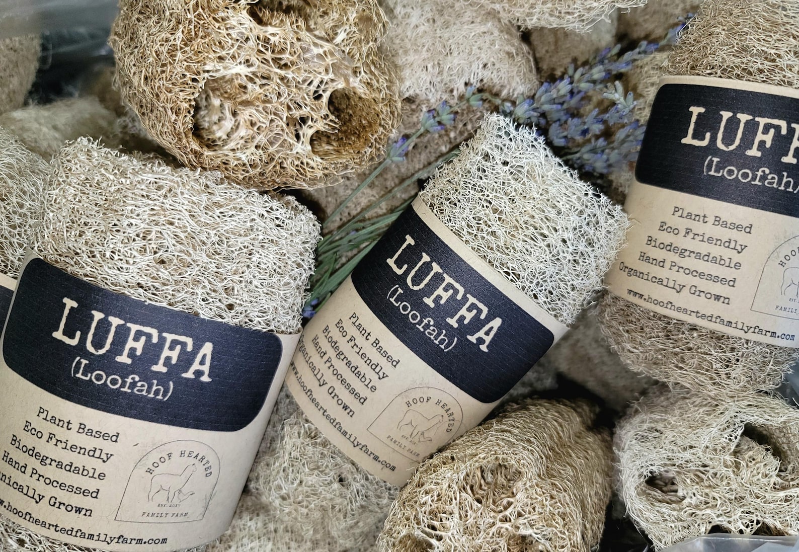 2-pack, Unbleached, Natural Luffa (loofah), Farm Grown, Eco Friendly - Etsy