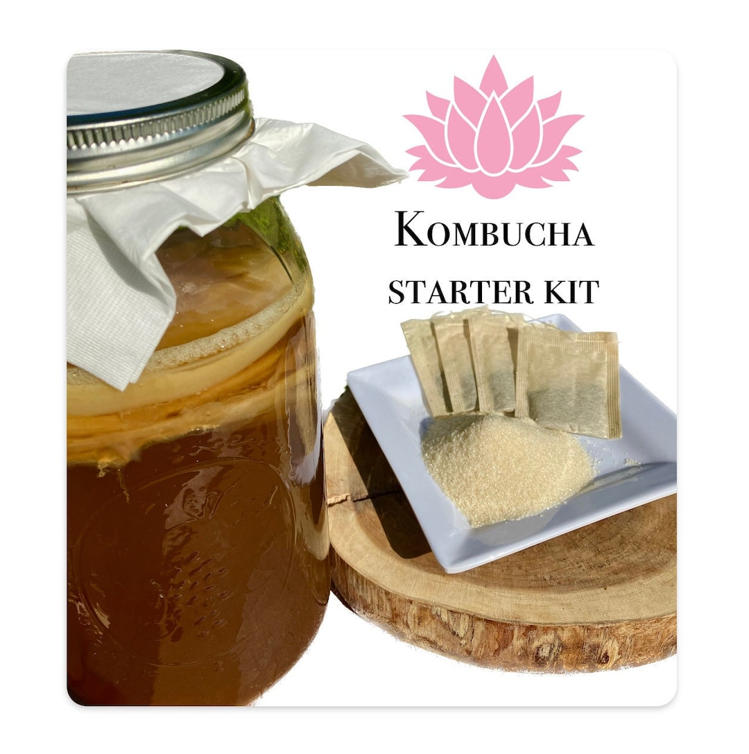 Organic Kombucha Starter Kit With SCOBY - Etsy