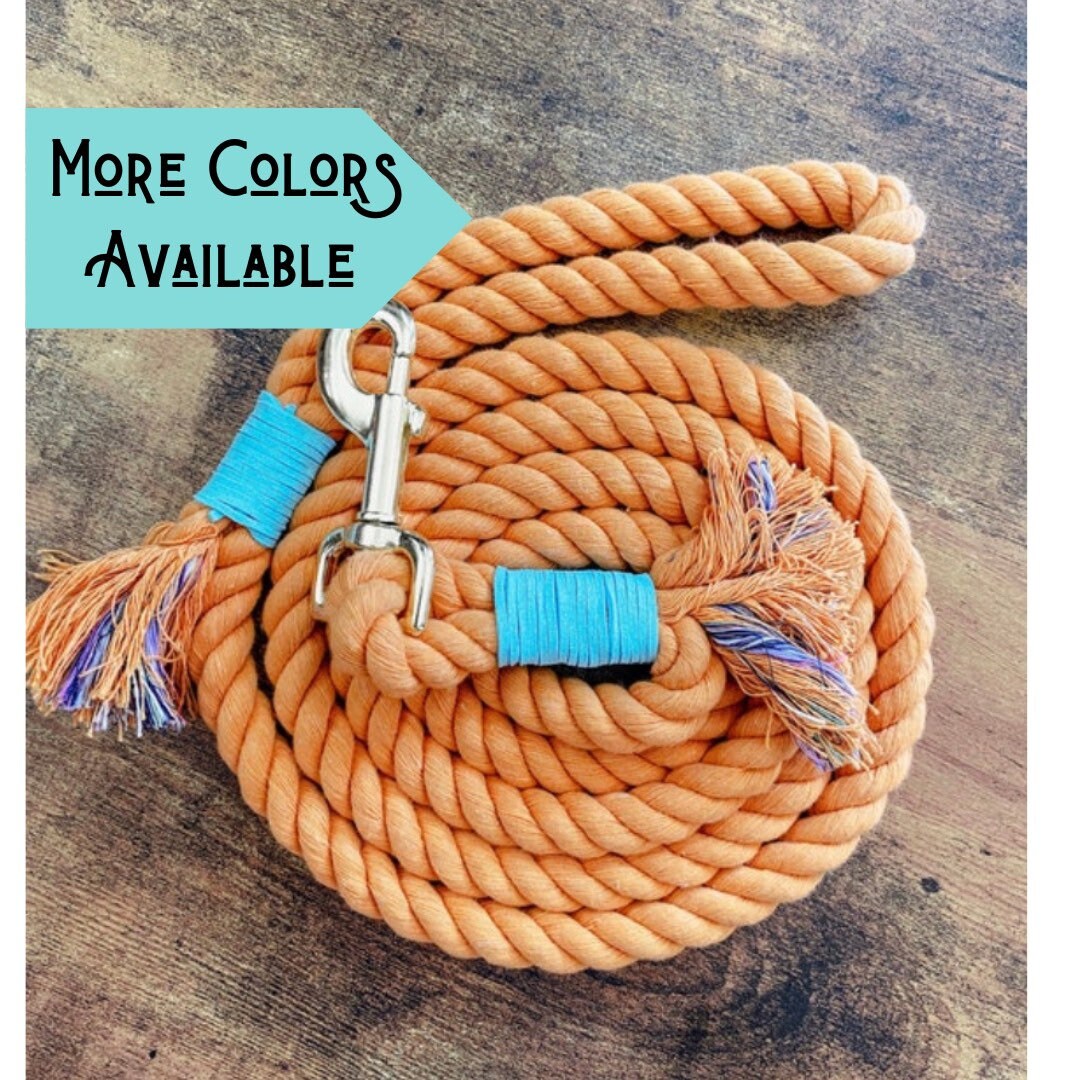Customizable Dog Leash / Custom Color Dog Leash / Lightweight - Etsy