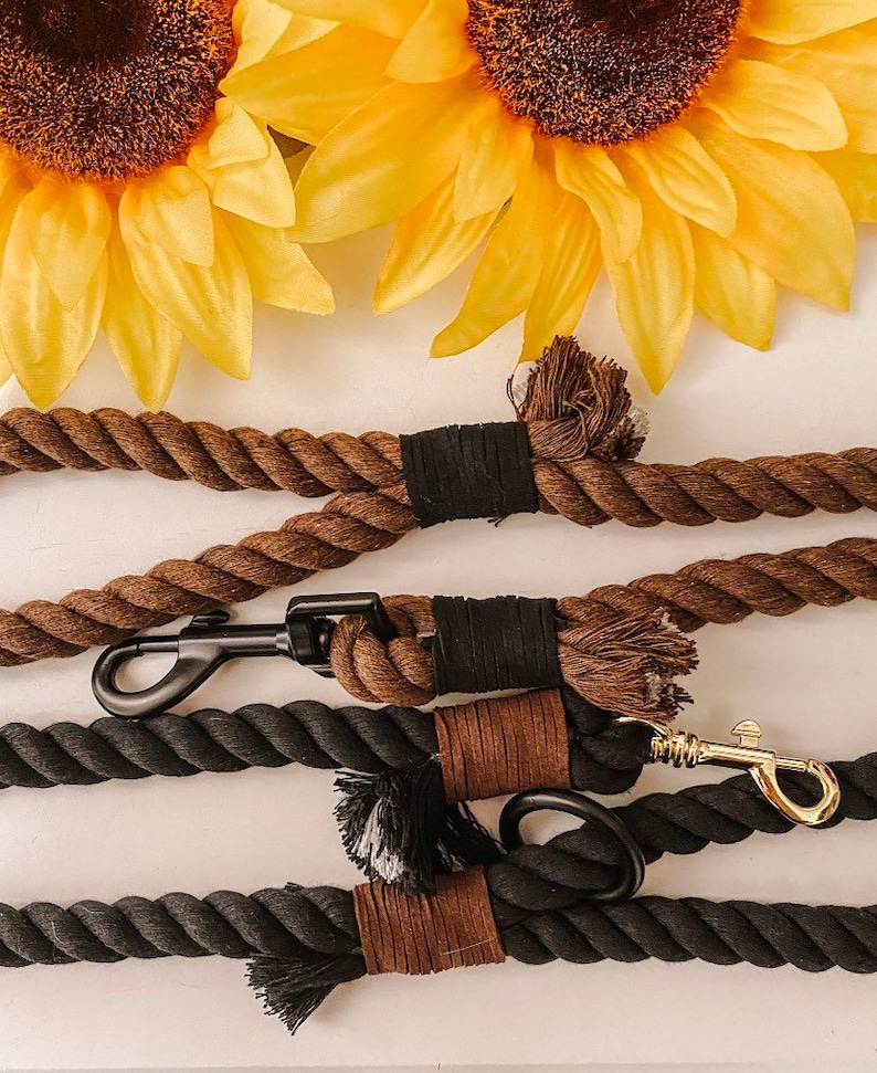 Customizable Dog Leash / Custom Color Dog Leash / Lightweight - Etsy