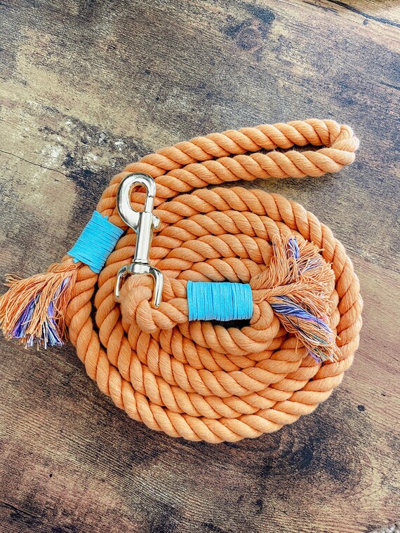 Customizable Dog Leash / Custom Color Dog Leash / Lightweight - Etsy