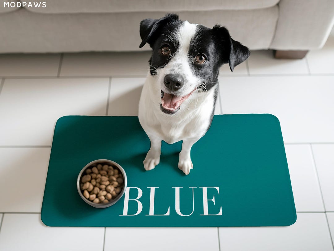 Personalized Dog Mats Using Pet Photo + Name Personalized Dog Food Mat ...