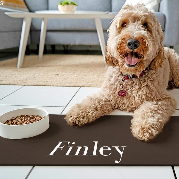 Dog Bowl Mat - Etsy