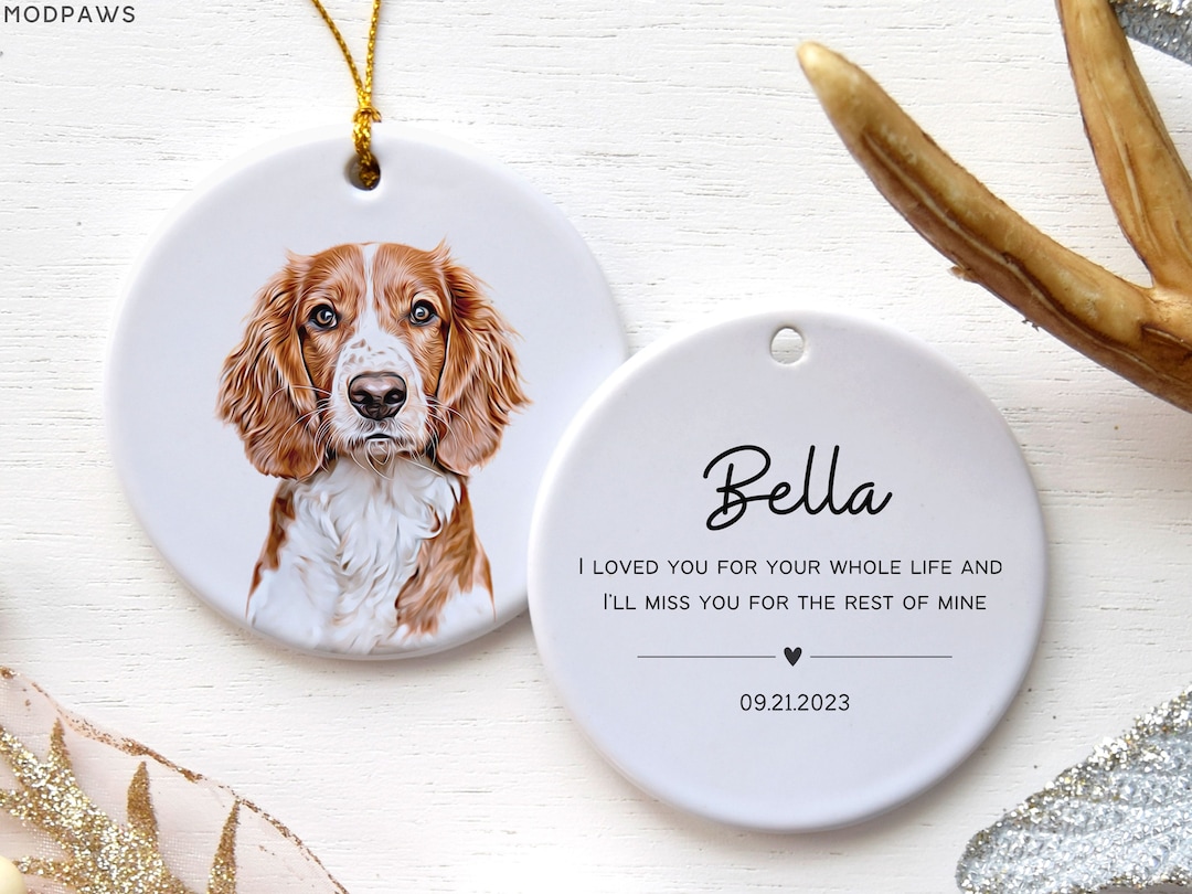 Personalized Pet Ornament Using Pet's Photo + Name - Custom Ornament ...