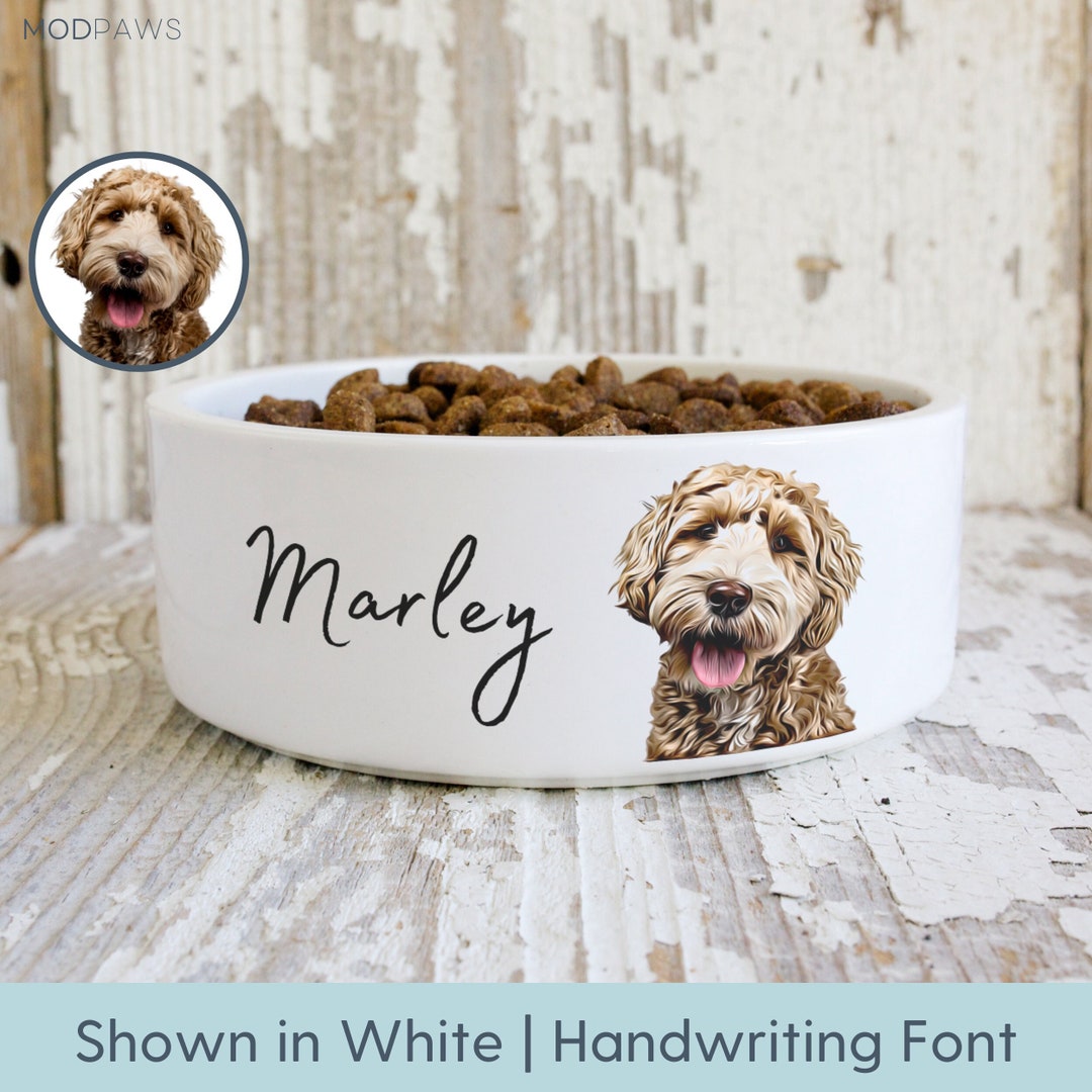 Custom Dog Bowl Using Pet Photo + Name Personalized Dog Bowl ...