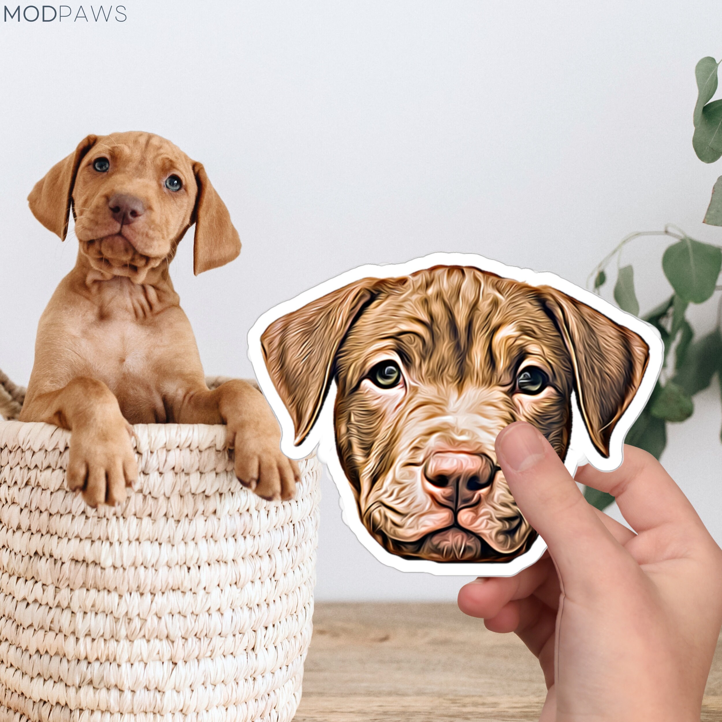 Custom Pet Sticker Using Your Pet Photo Custom Dog Sticker - Etsy Australia