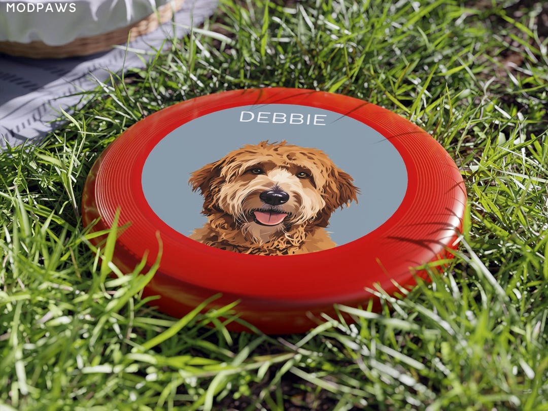 Custom Pet Flying Disc Using Pet Photo + Pet Name Personalized Flying ...