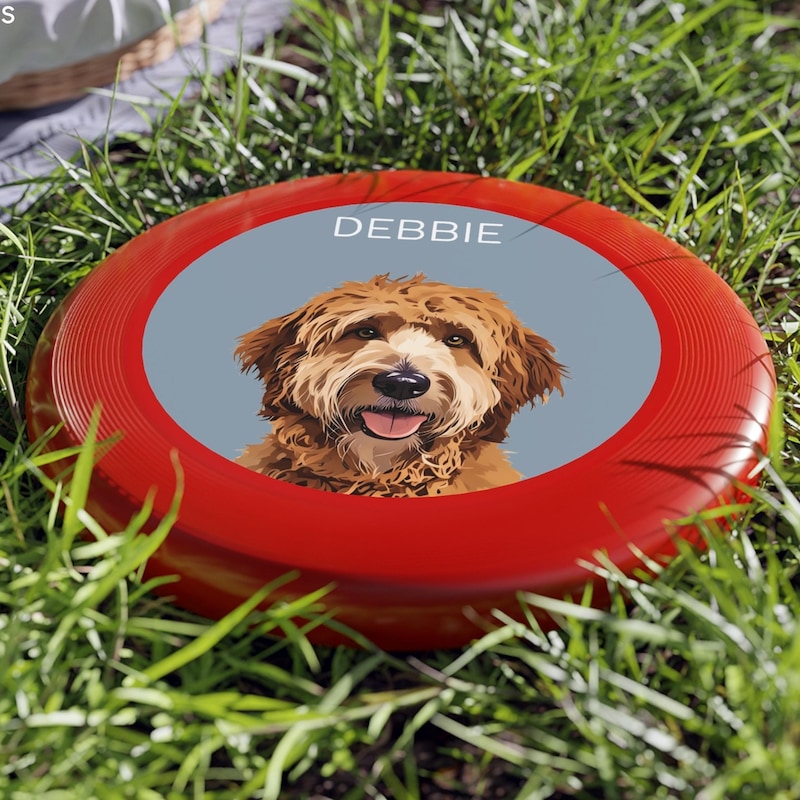 Custom Disc Golf - Etsy