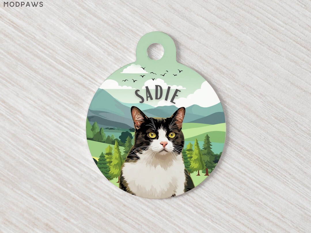 Custom Cat Tags for Collar Using Pet Photo + Name Dog ID Tags Name ...
