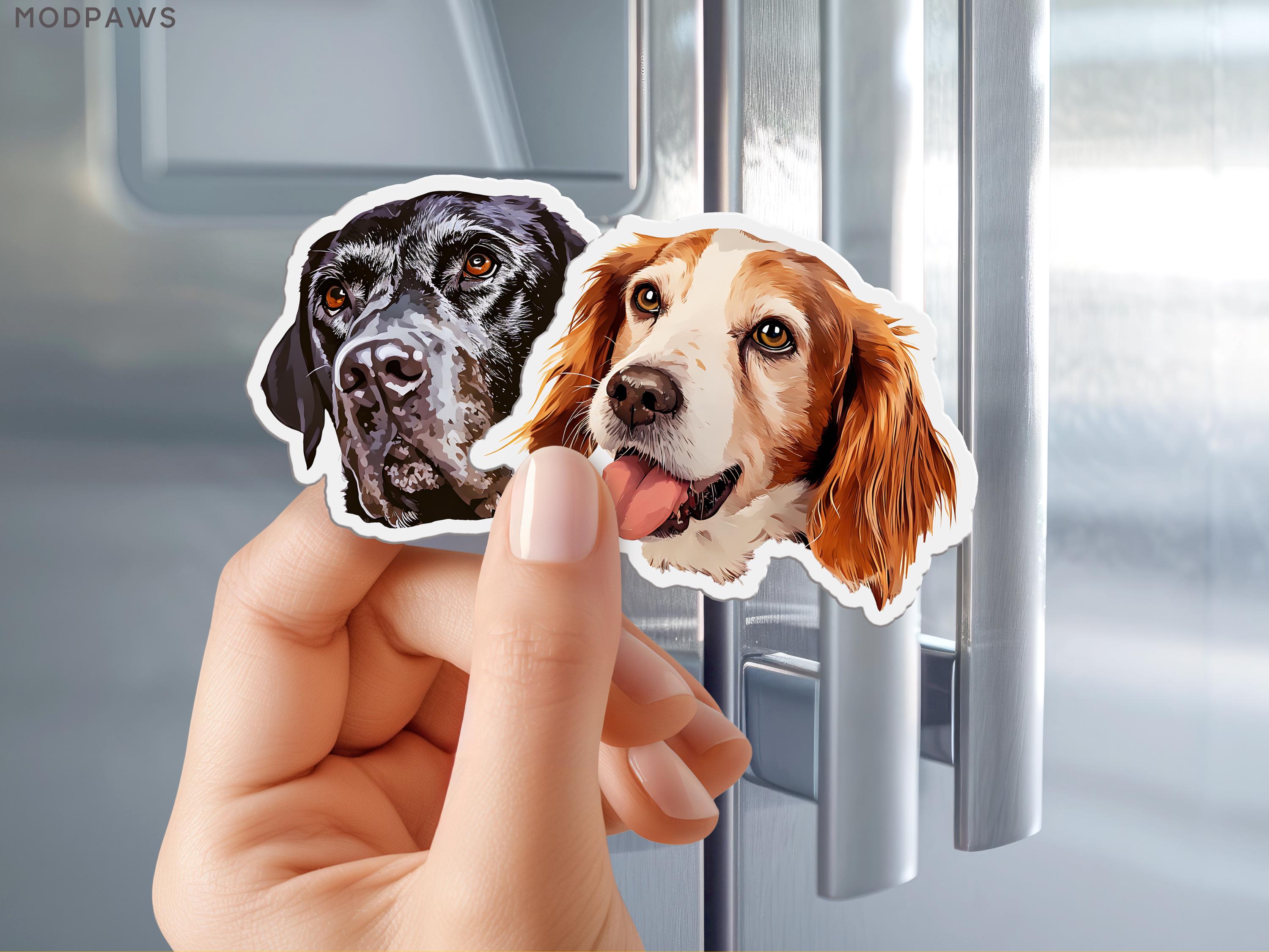 Custom Dog Magnet Using Your Pet Photo Custom Cat Magnet Personalized ...