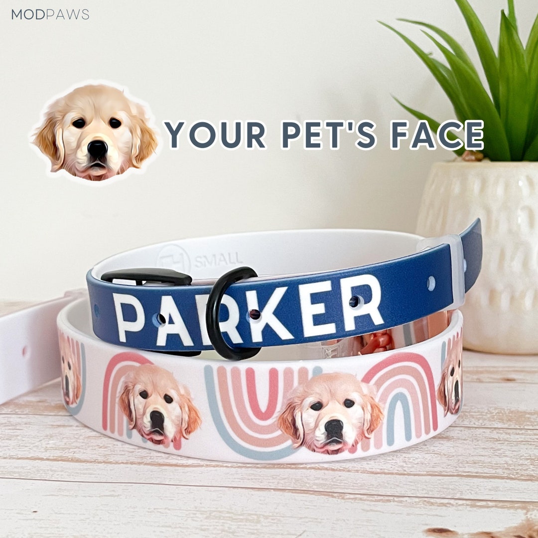 Waterproof Personalized Dog Collar Using Pet Photo Name Heavy Duty ...