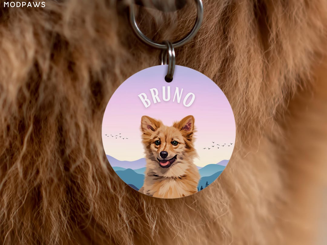 Custom Dog Tags Using Pet Photo + Name Dog for Collars ID Tags Name Dog ...