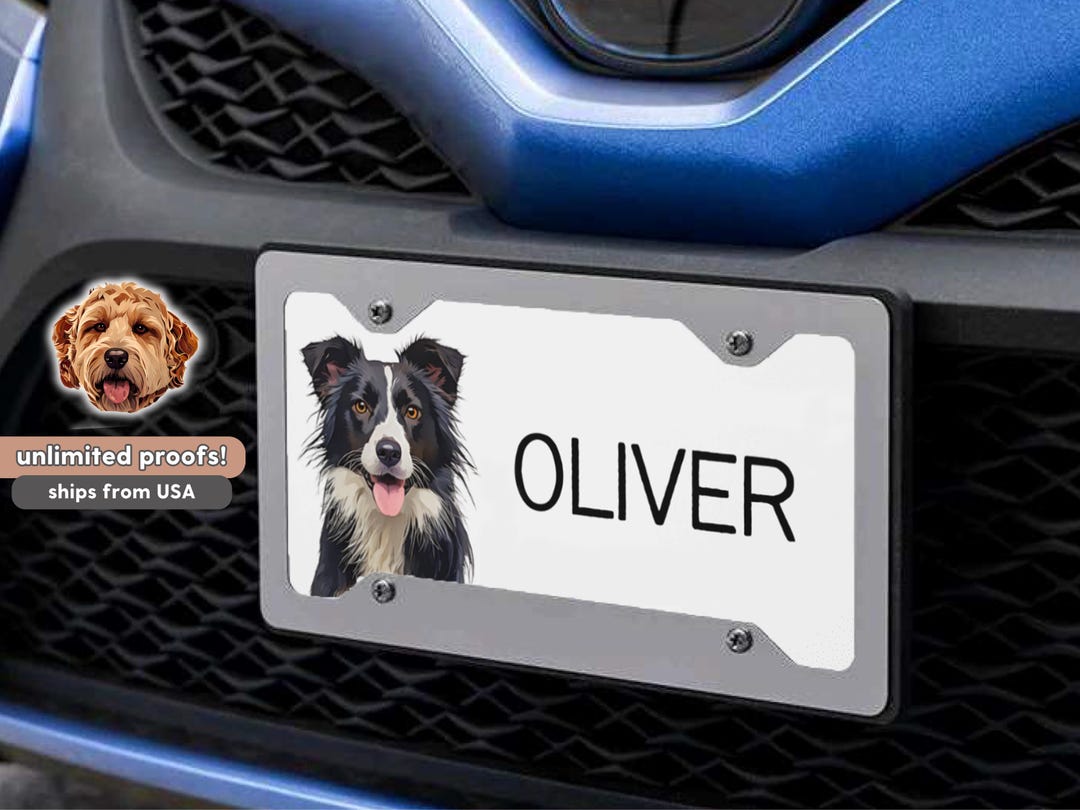 Custom Pet License Plate Using Pet Photo + Name Custom Tag Plates ...