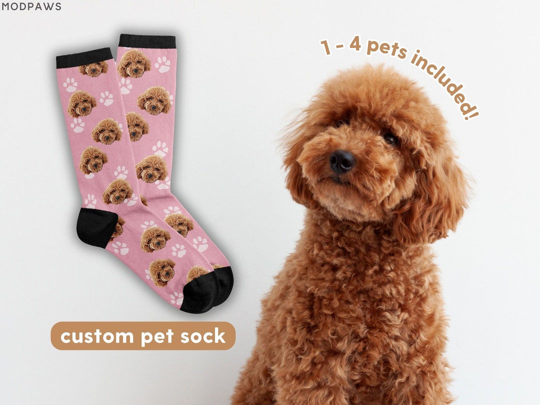 Custom Pet Photo Socks Personalized Pet Socks Custom Dog Socks Custom ...