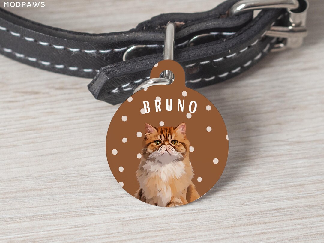 Custom Cat Tags Using Pet Photo + Name Pet ID Tags Name Dog Tag Pet ID ...