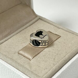 Pandora Yellowstone, National Park, Wyoming Exclusive Charm Heart Bead ...