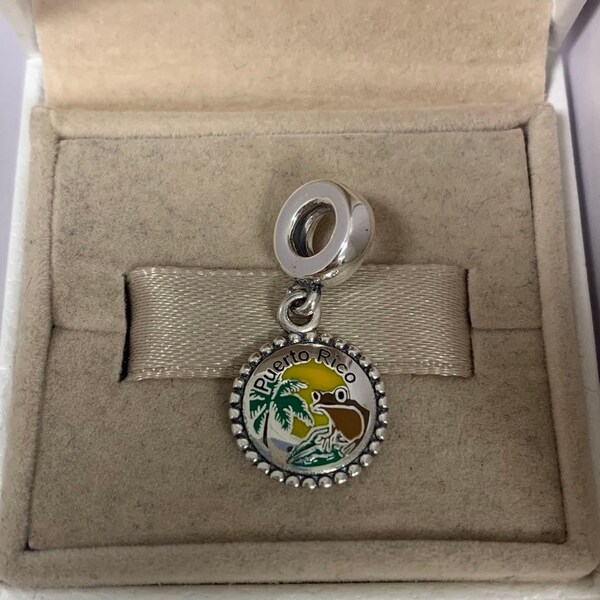 Puerto Rico Frog Pandora Charm - Etsy